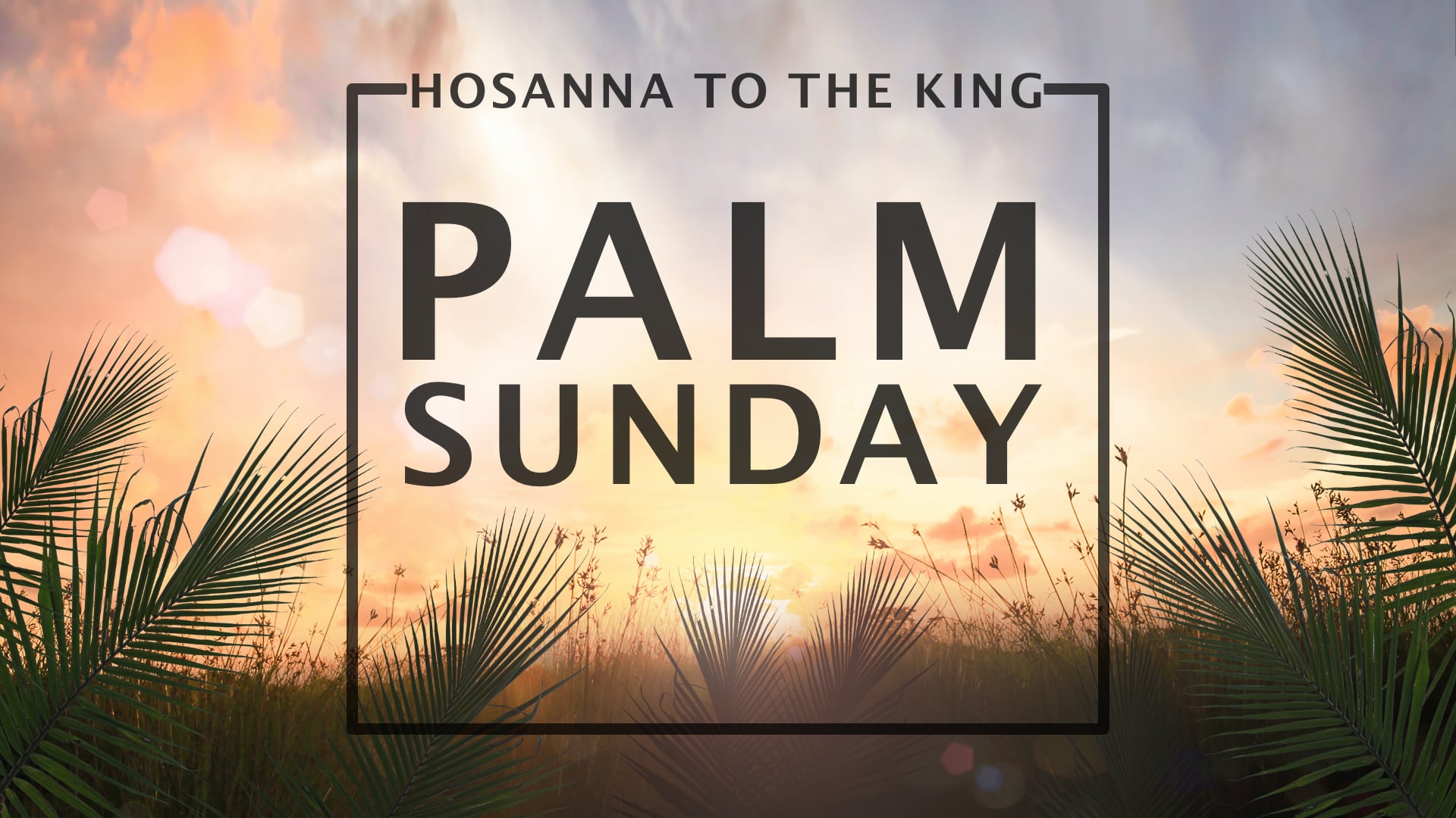 Palm Sunday – Vimeo thumbnail – One Love Ministries
